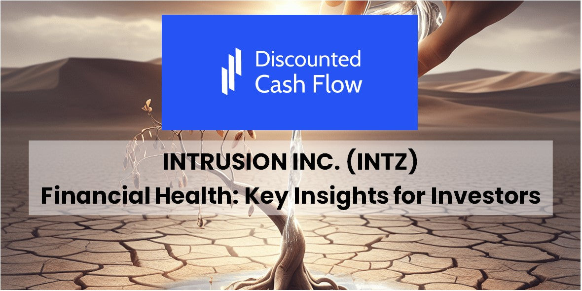 Breaking Down Intrusion Inc. (INTZ): Key Insights for Investors ...