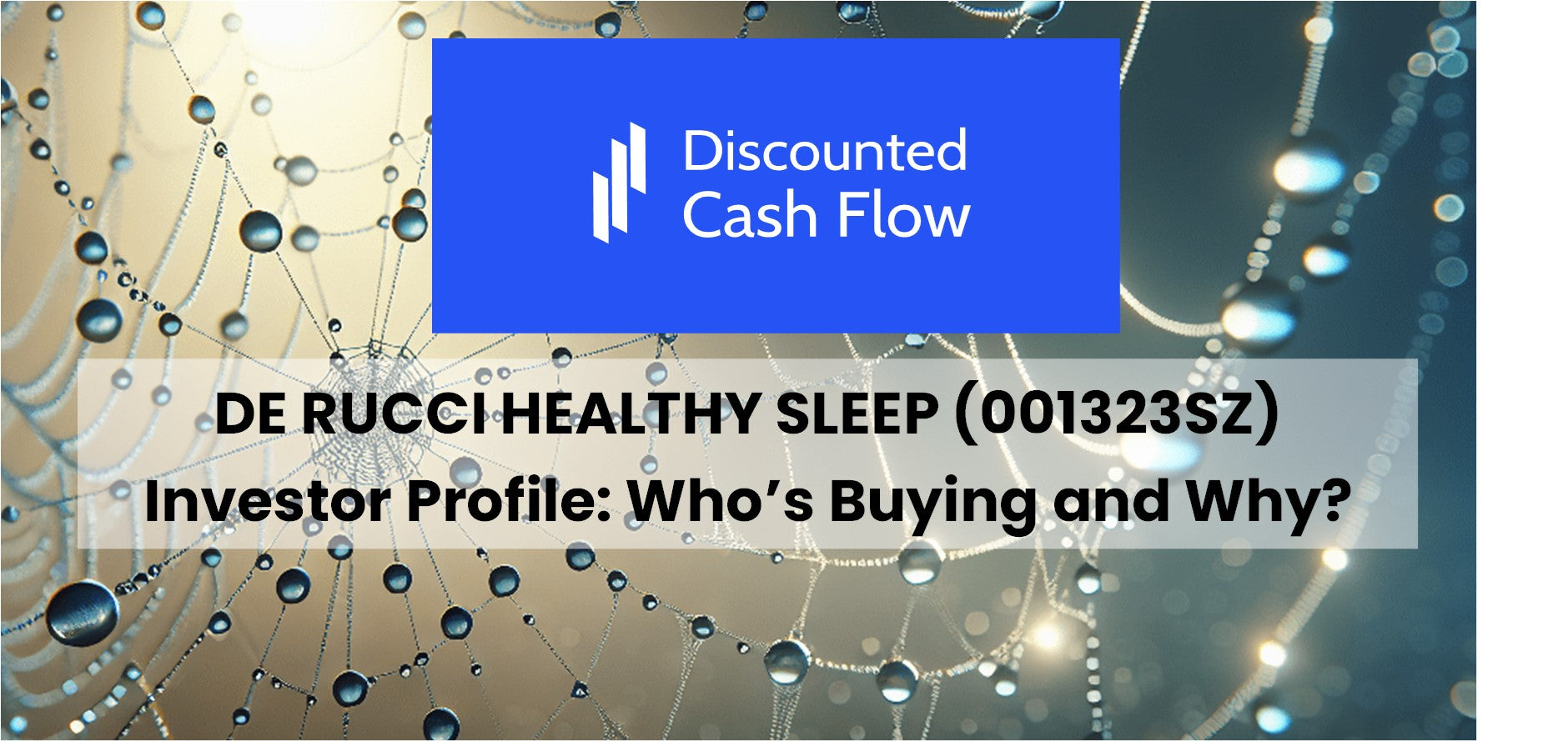 Exploring De Rucci Healthy Sleep (001323SZ): Who’s Buying and Why ...