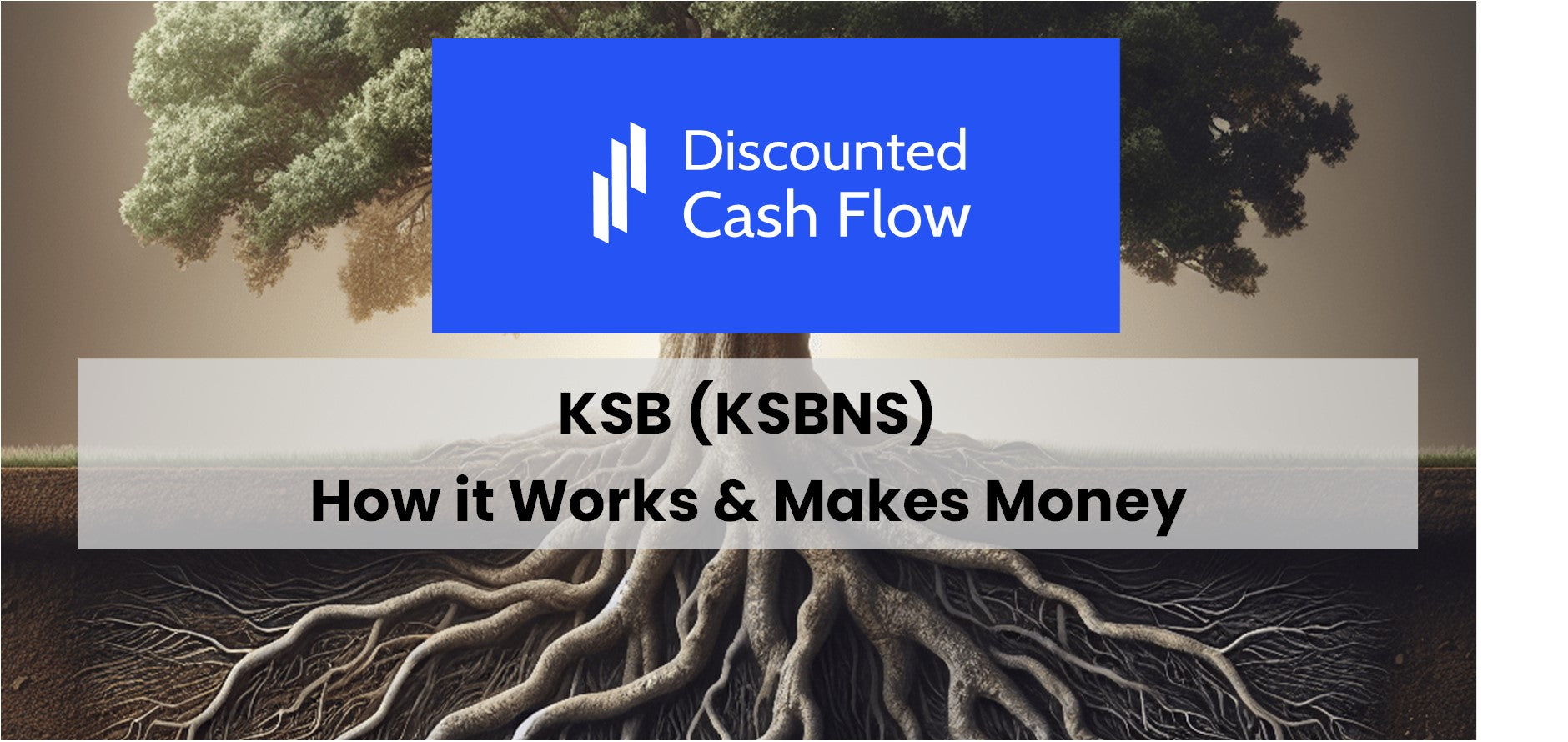 KSB (KSBNS): history, ownership, mission, how it works & makes money – DCFmodeling.com