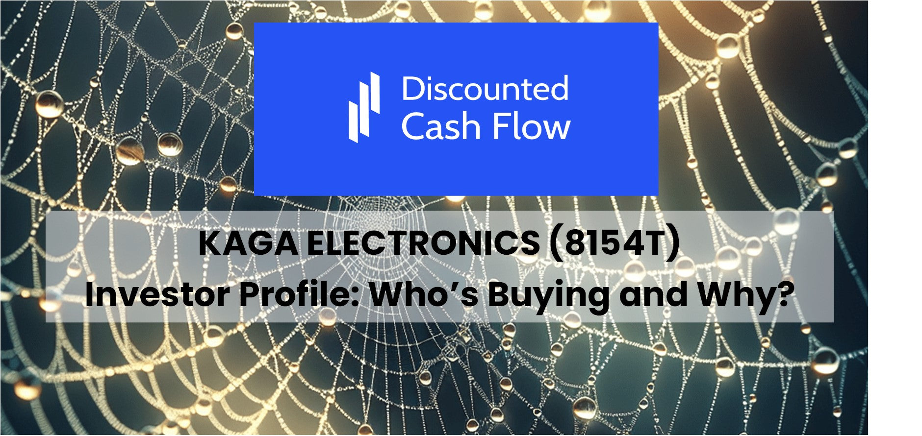 Exploring Kaga Electronics (8154T): Who’s Buying and Why? – DCFmodeling.com