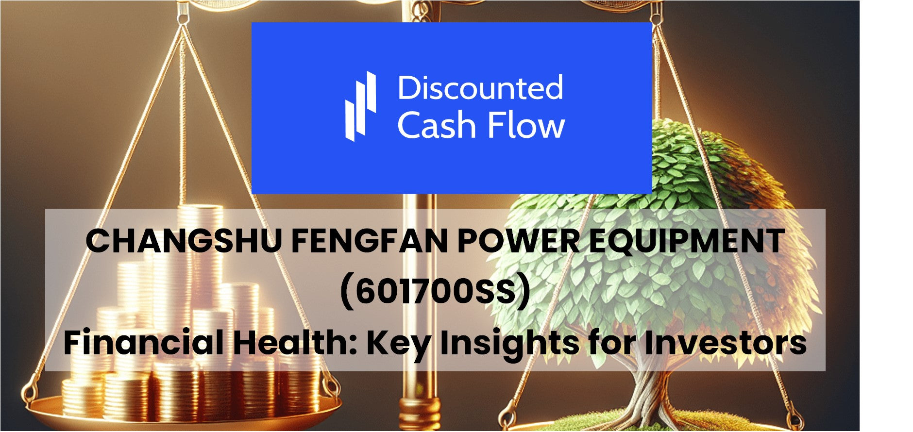 Breaking Down Changshu Fengfan Power Equipment (601700SS) Financial ...
