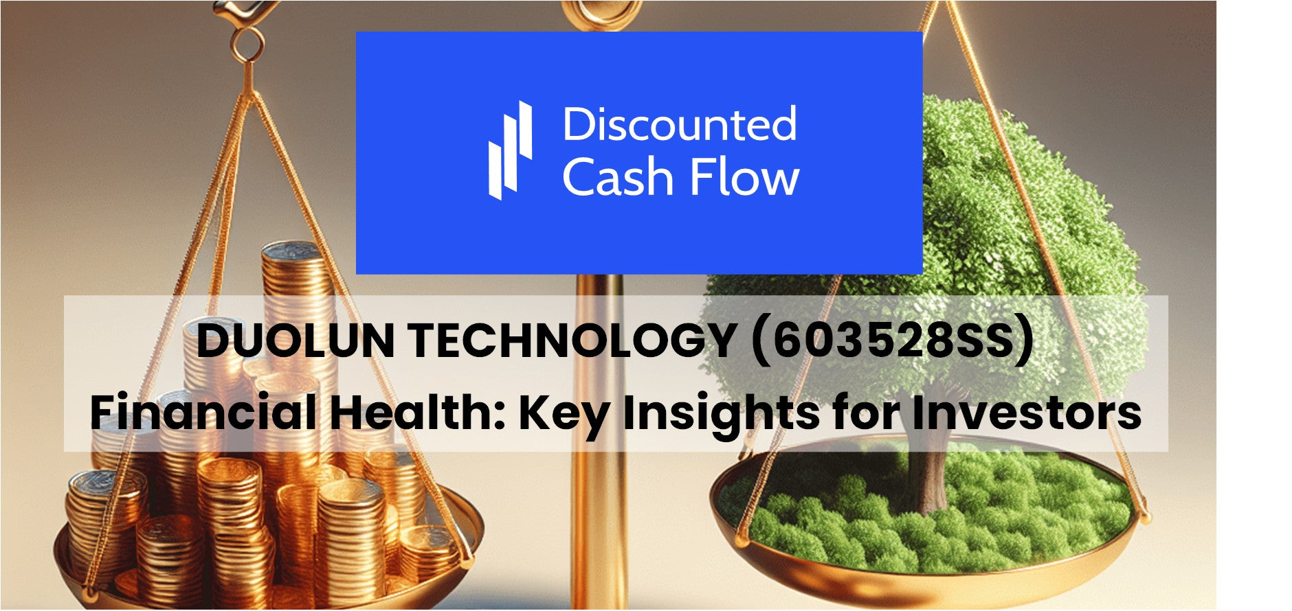 Breaking Down DuoLun Technology (603528SS) Financial Health: Key ...