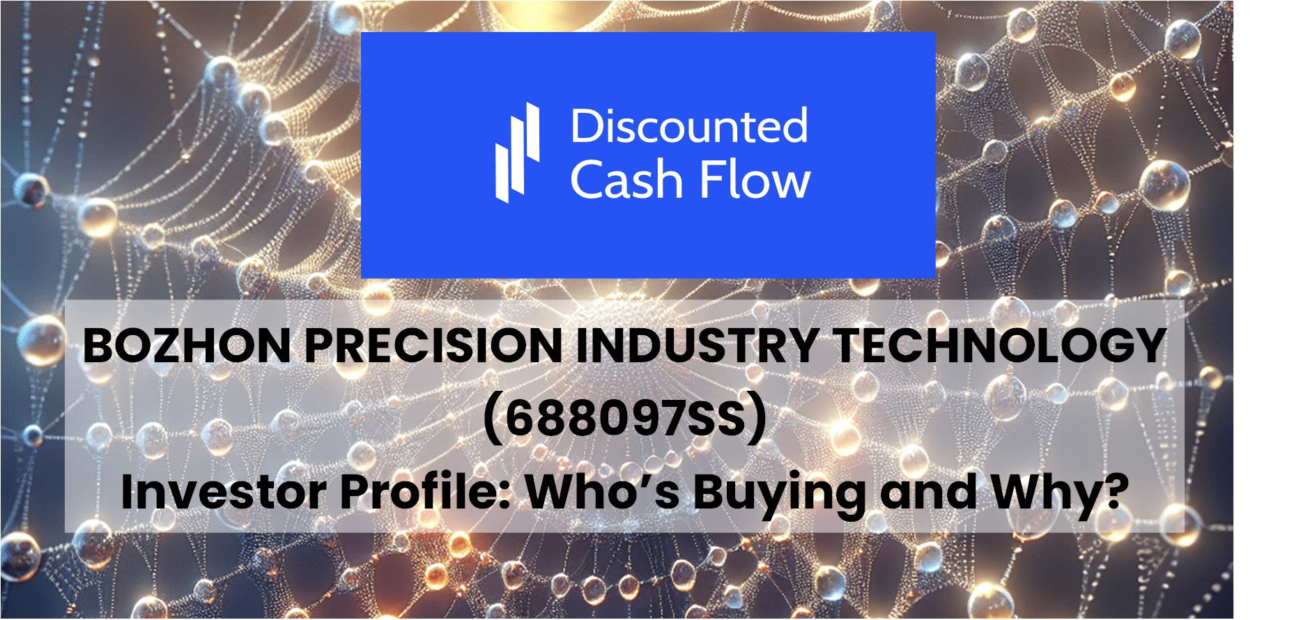 Exploring BOZHON Precision Industry Technology (688097SS): Who’s Buying ...