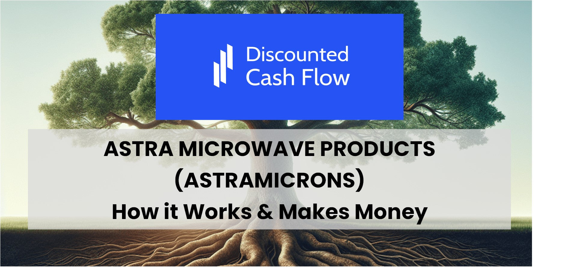 Astra Microwave Products (ASTRAMICRONS): history, ownership, mission ...