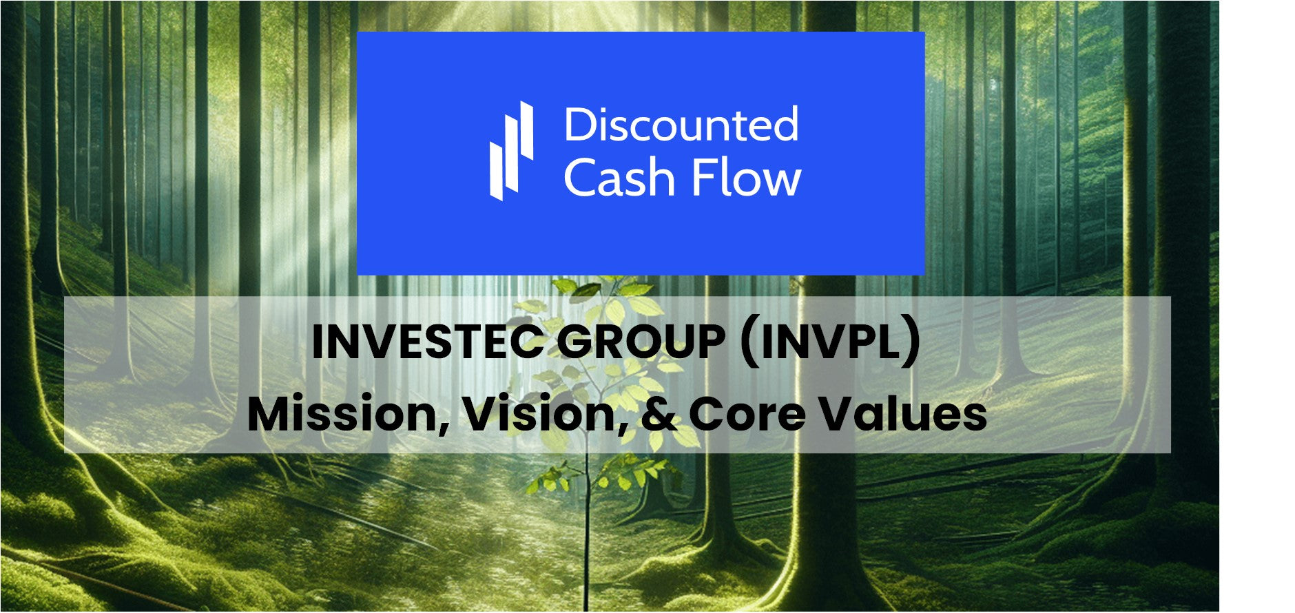 Mission Statement, Vision, & Core Values (2025) of Investec Group ...