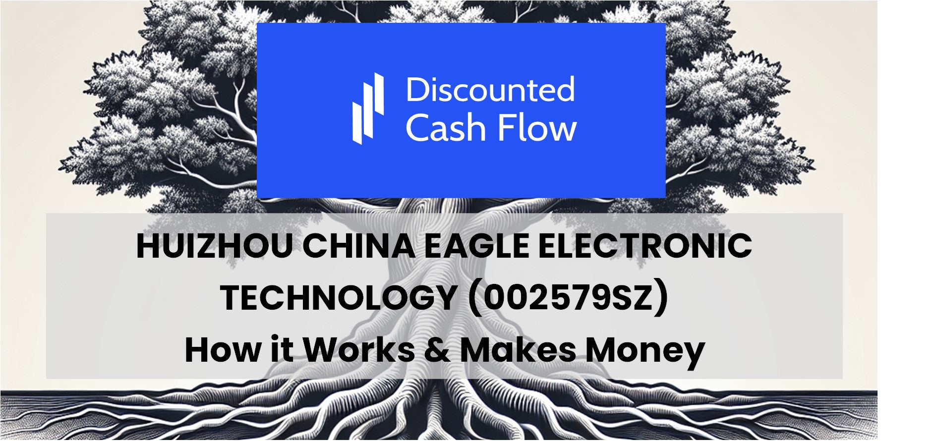 Huizhou China Eagle Electronic Technology (002579SZ): history ...