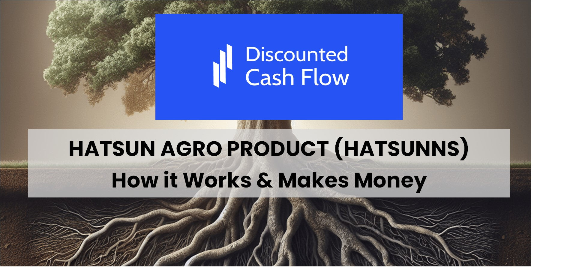 Hatsun Agro Product (HATSUNNS): history, ownership, mission, how it works & makes money ...