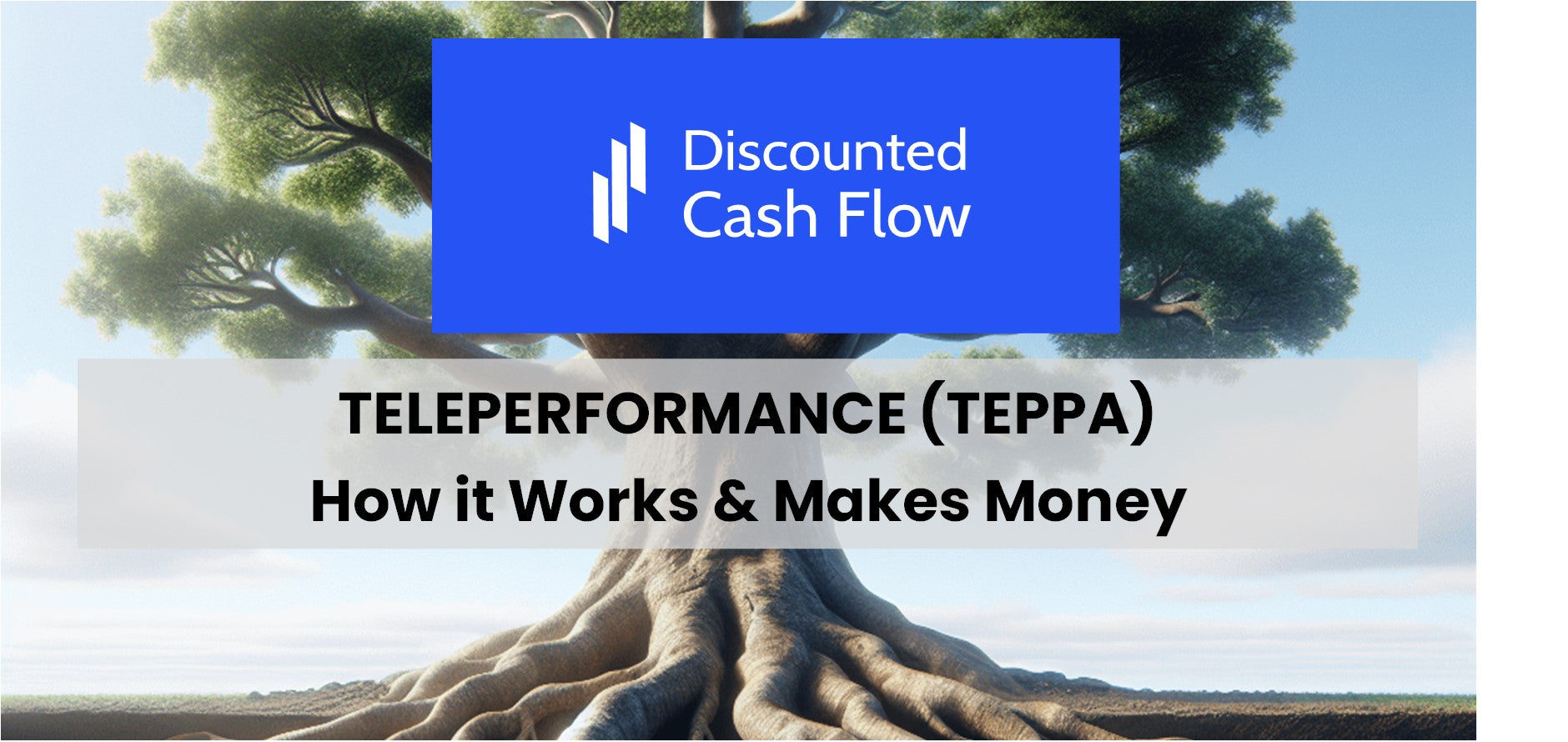 Teleperformance (TEPPA): history, ownership, mission, how it works ...