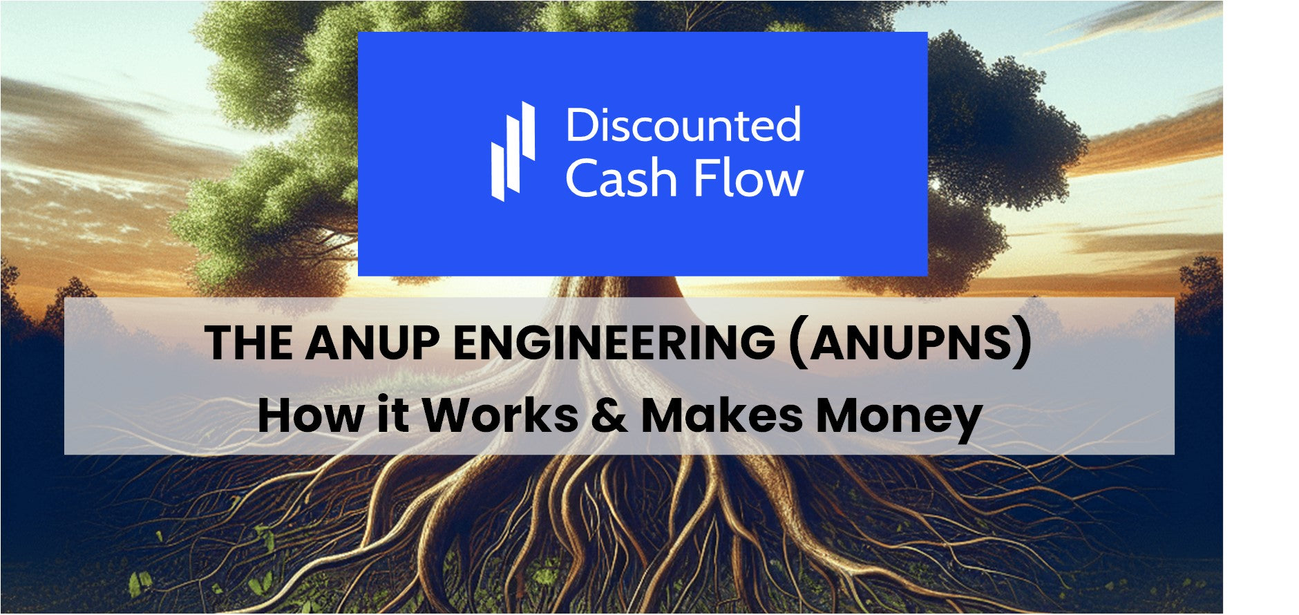 The Anup Engineering (ANUPNS): history, ownership, mission, how it ...