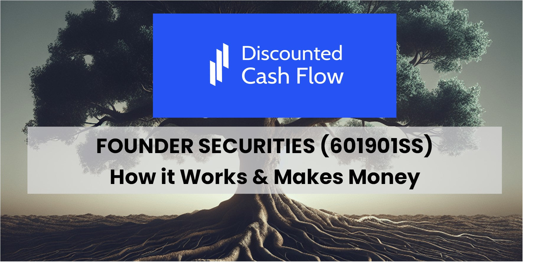 Founder Securities (601901SS): history, ownership, mission, how it ...