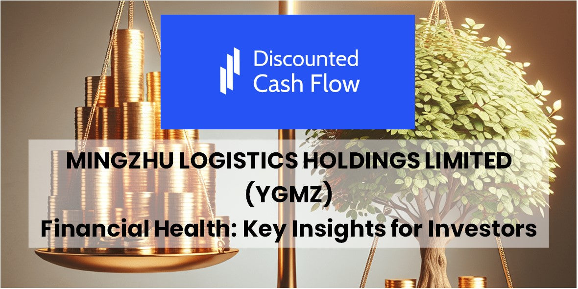 Breaking Down MingZhu Logistics Holdings Limited (YGMZ): Key Insights ...