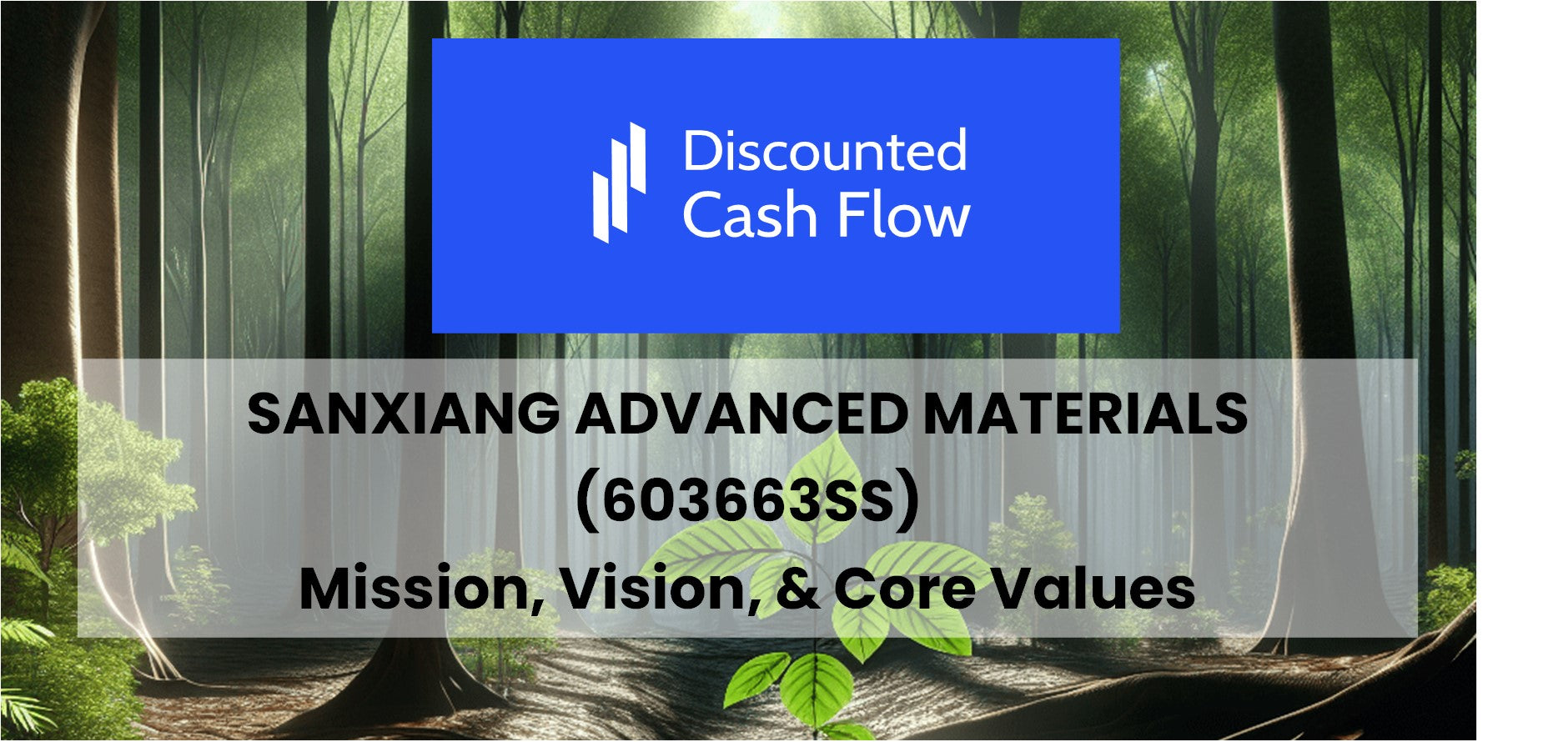 Mission Statement, Vision, & Core Values (2025) of Sanxiang Advanced ...