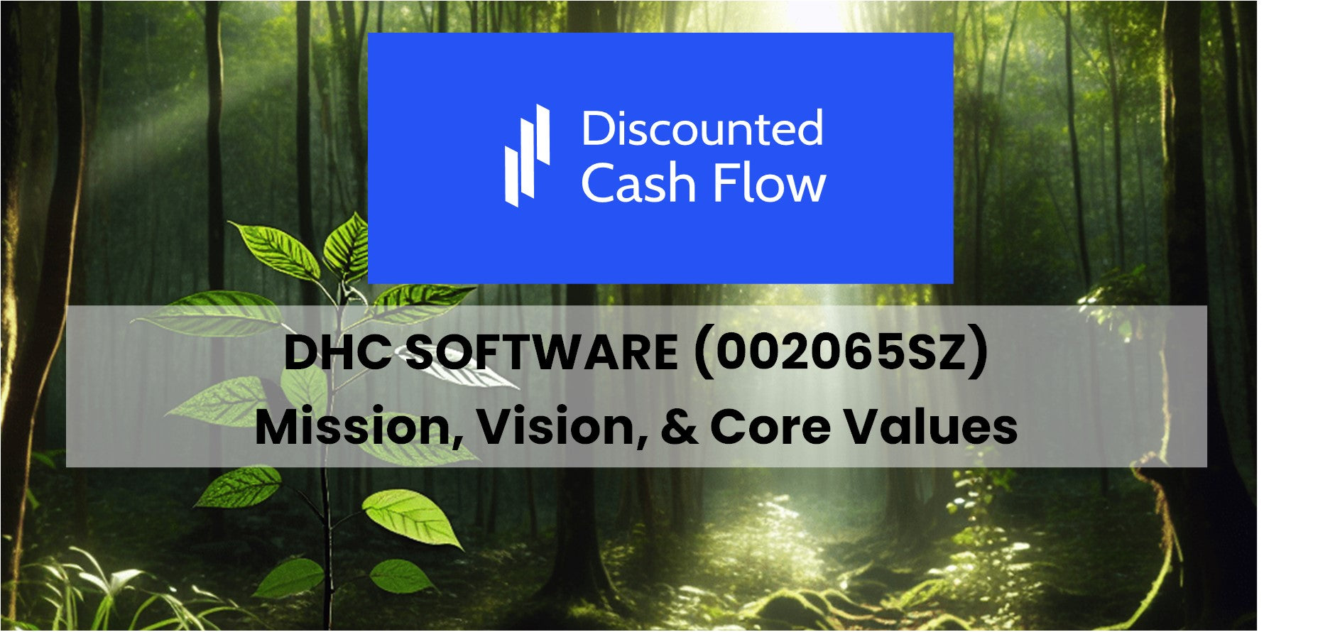 Mission Statement, Vision, & Core Values (2025) of DHC Software ...