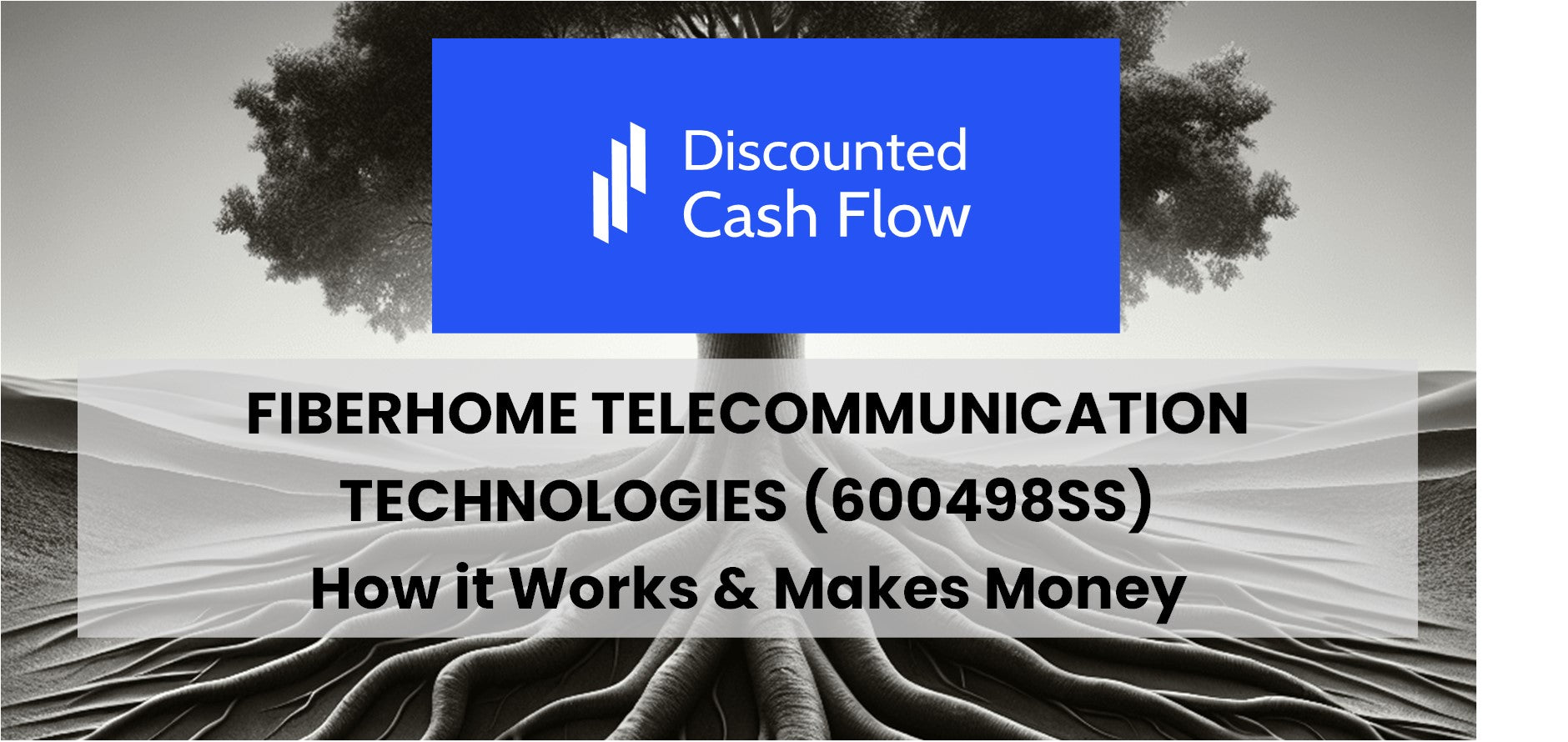 Fiberhome Telecommunication Technologies (600498SS): history, ownership ...