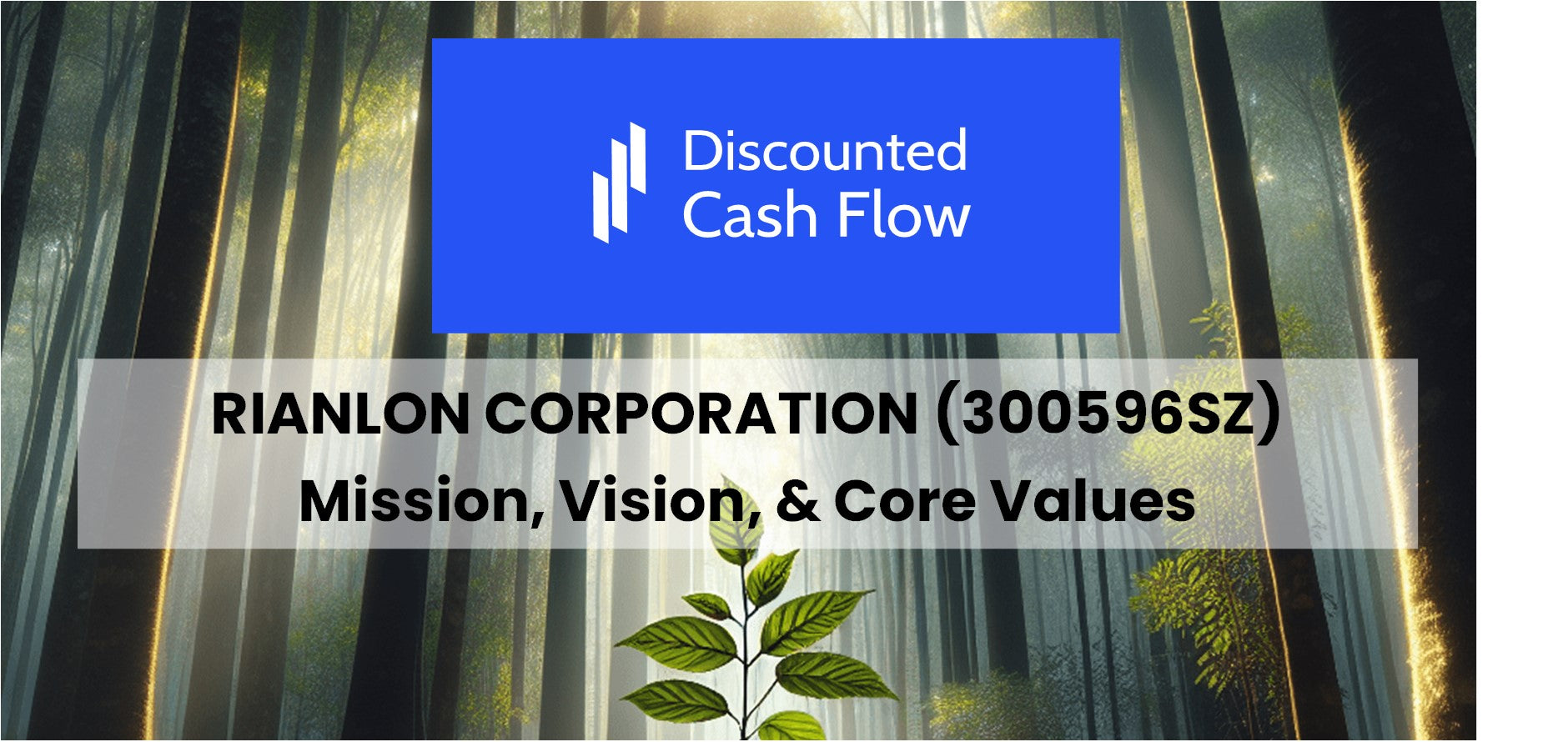 Mission Statement, Vision, & Core Values (2025) of Rianlon Corporation ...