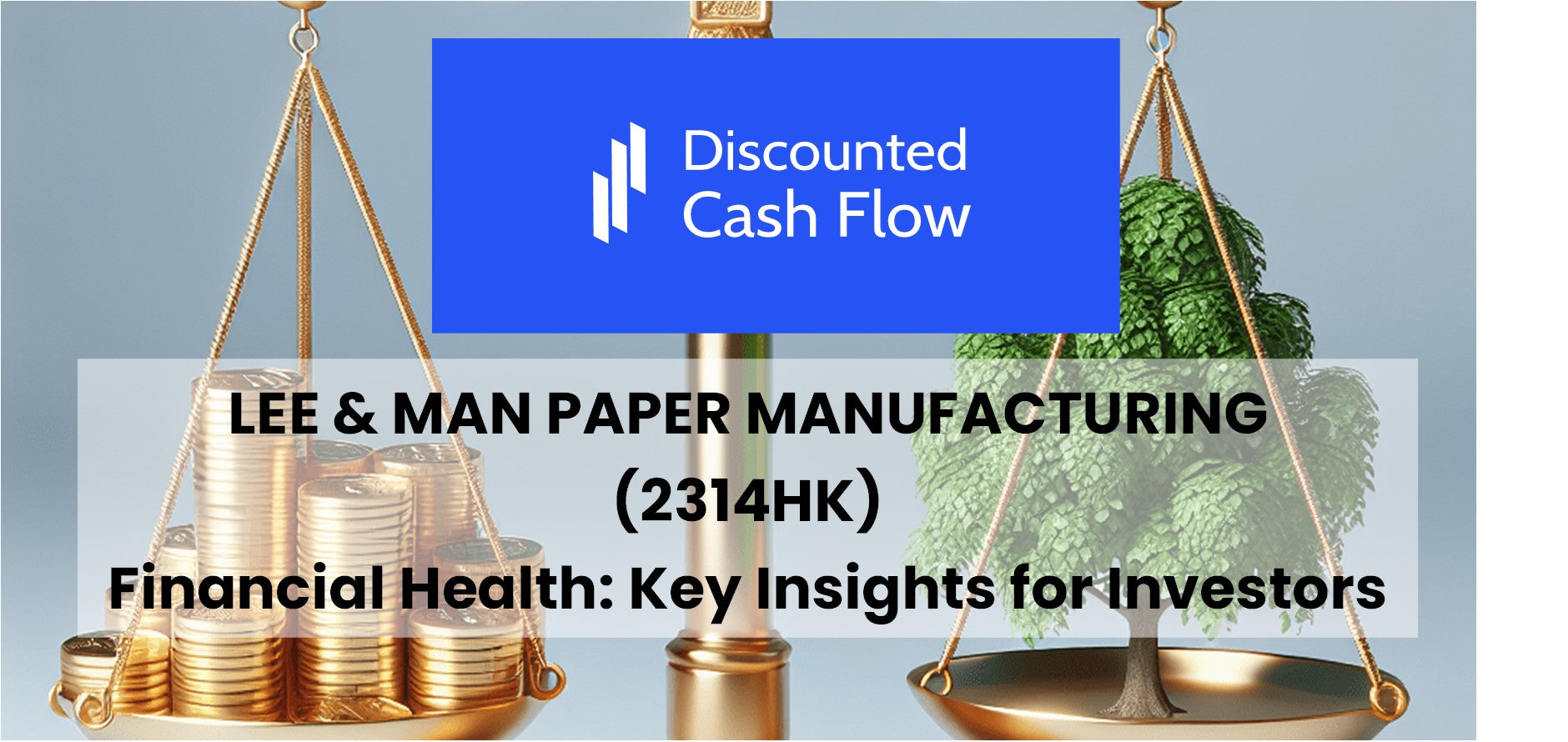 Breaking Down Lee & Man Paper Manufacturing (2314HK) Financial Health ...