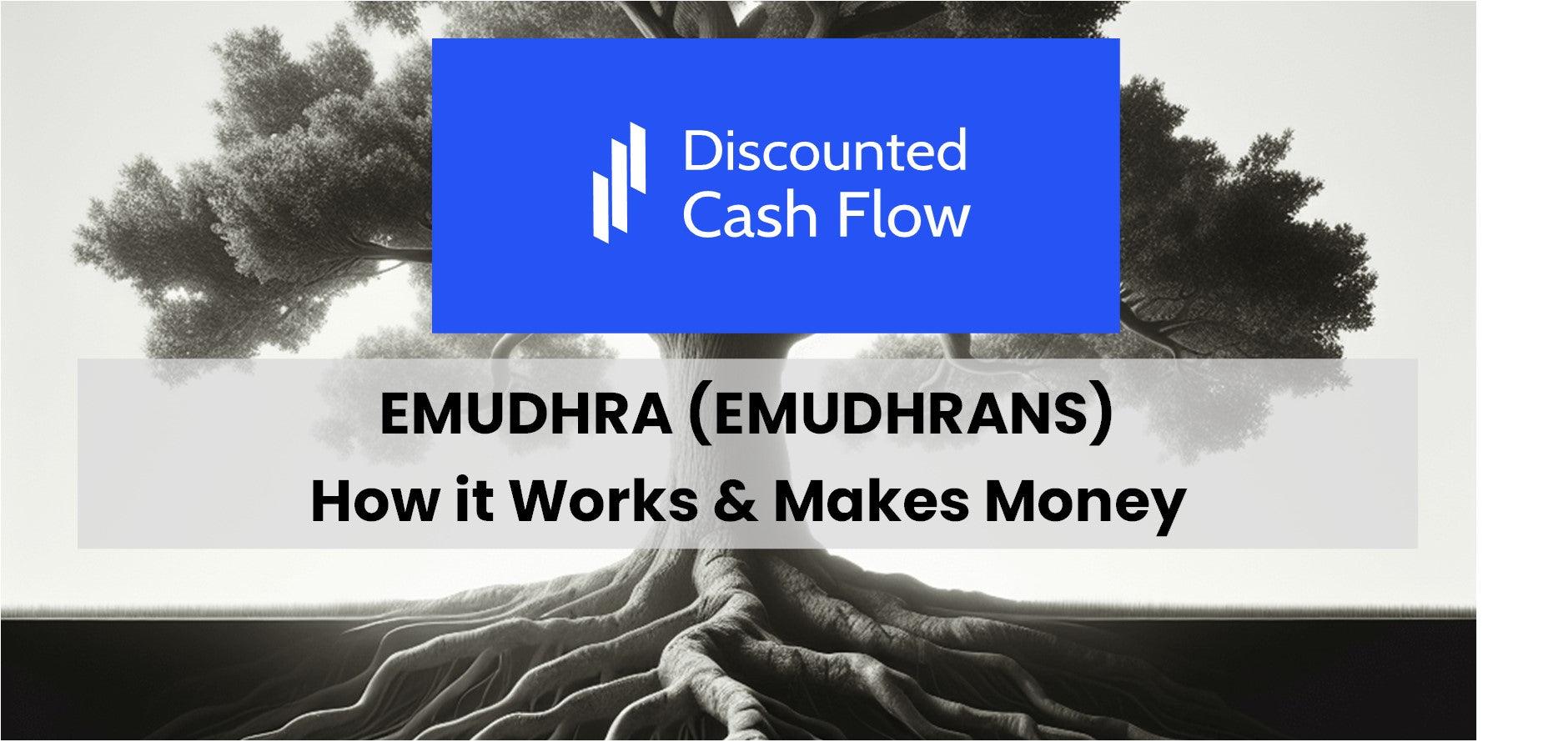 eMudhra (EMUDHRANS): history, ownership, mission, how it works & makes ...