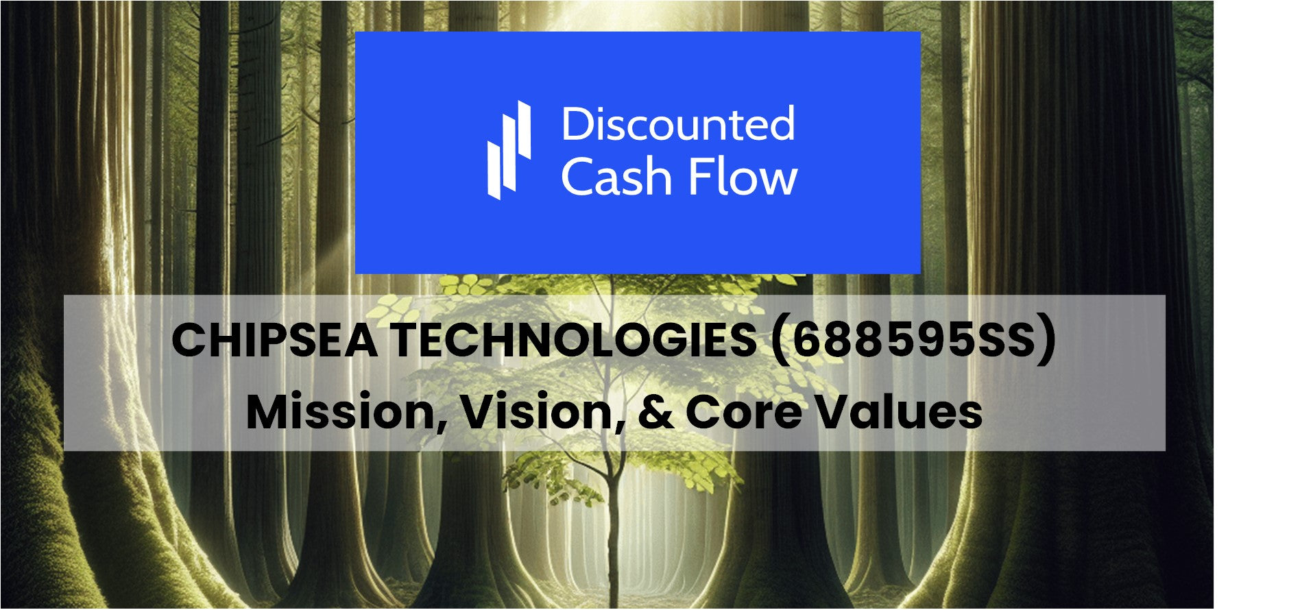 Mission Statement, Vision, & Core Values (2025) of Chipsea Technologies ...