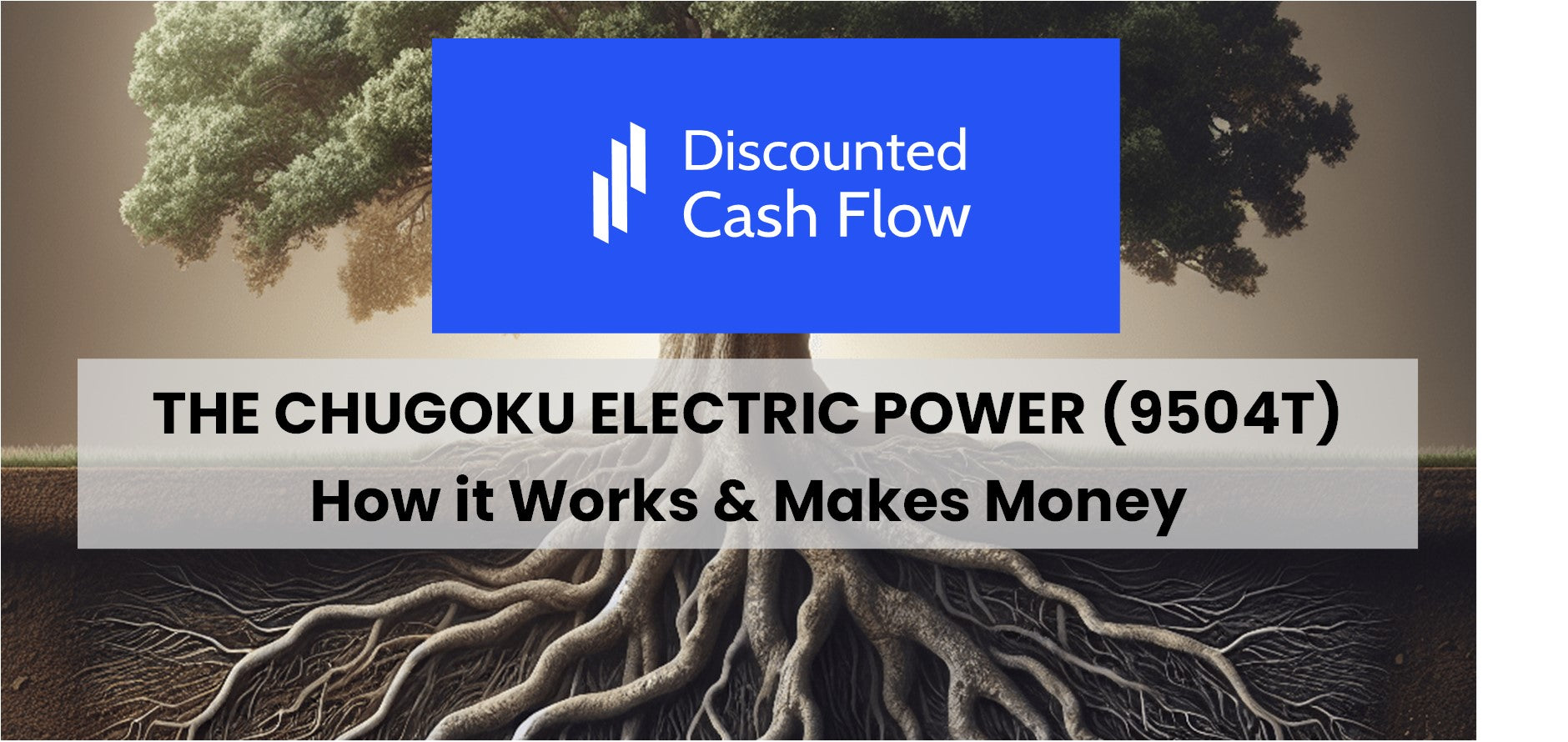 The Chugoku Electric Power (9504T): history, ownership, mission, how it ...