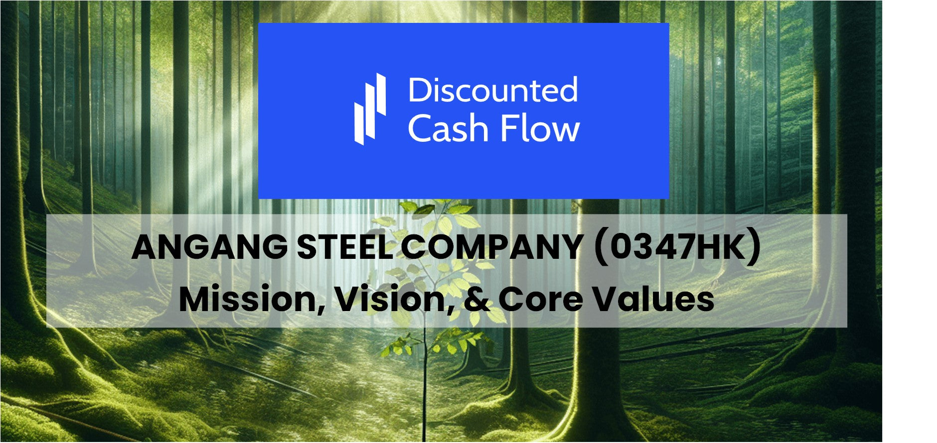 Mission Statement, Vision, & Core Values (2025) of Angang Steel Company ...
