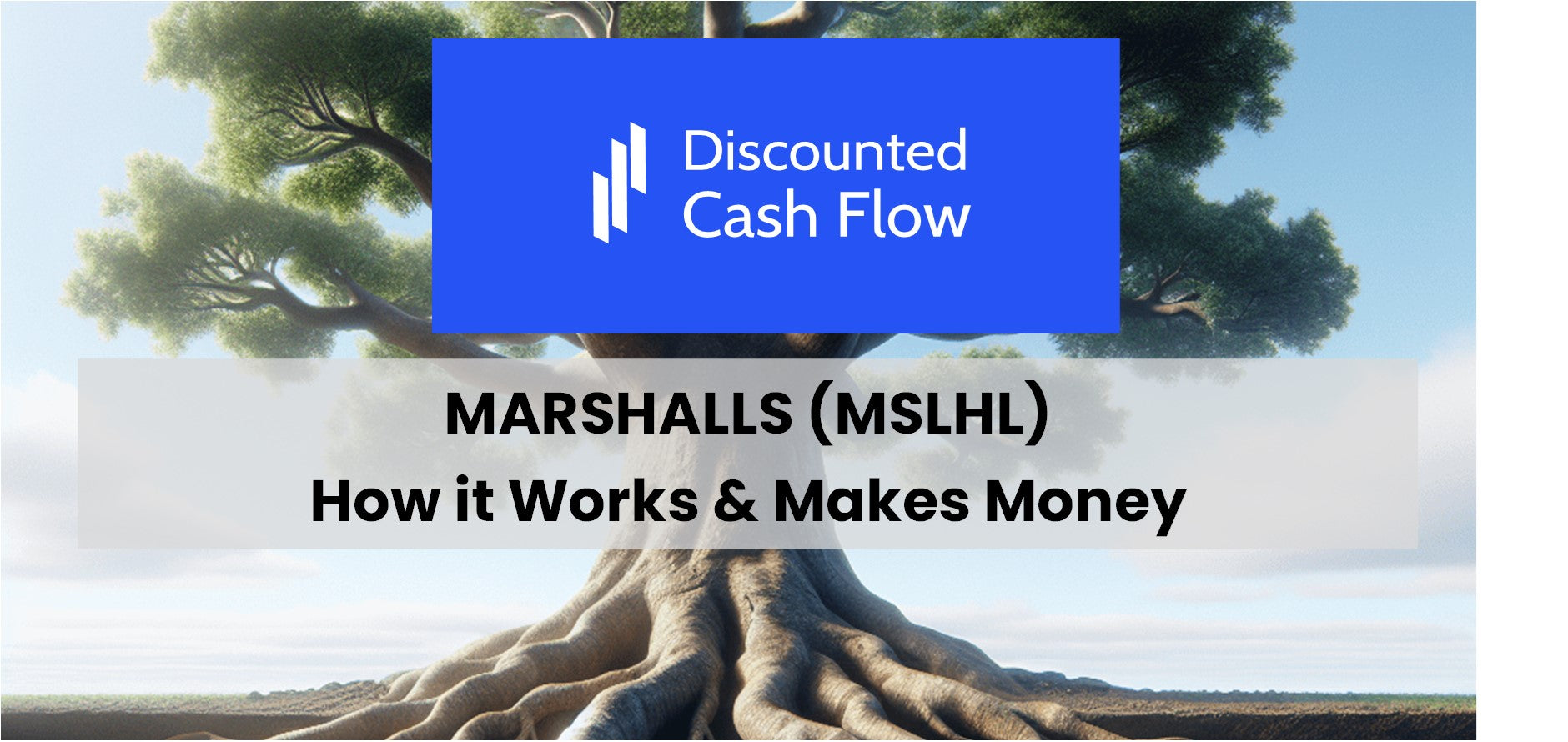 Marshalls (MSLHL): history, ownership, mission, how it works & makes ...