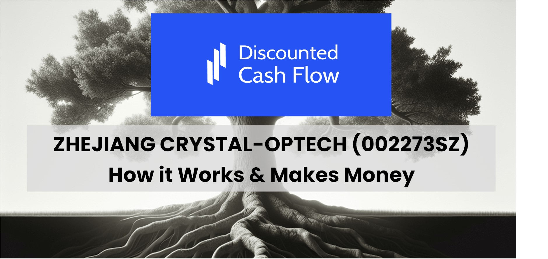 Zhejiang Crystal-Optech (002273SZ): history, ownership, mission, how it ...