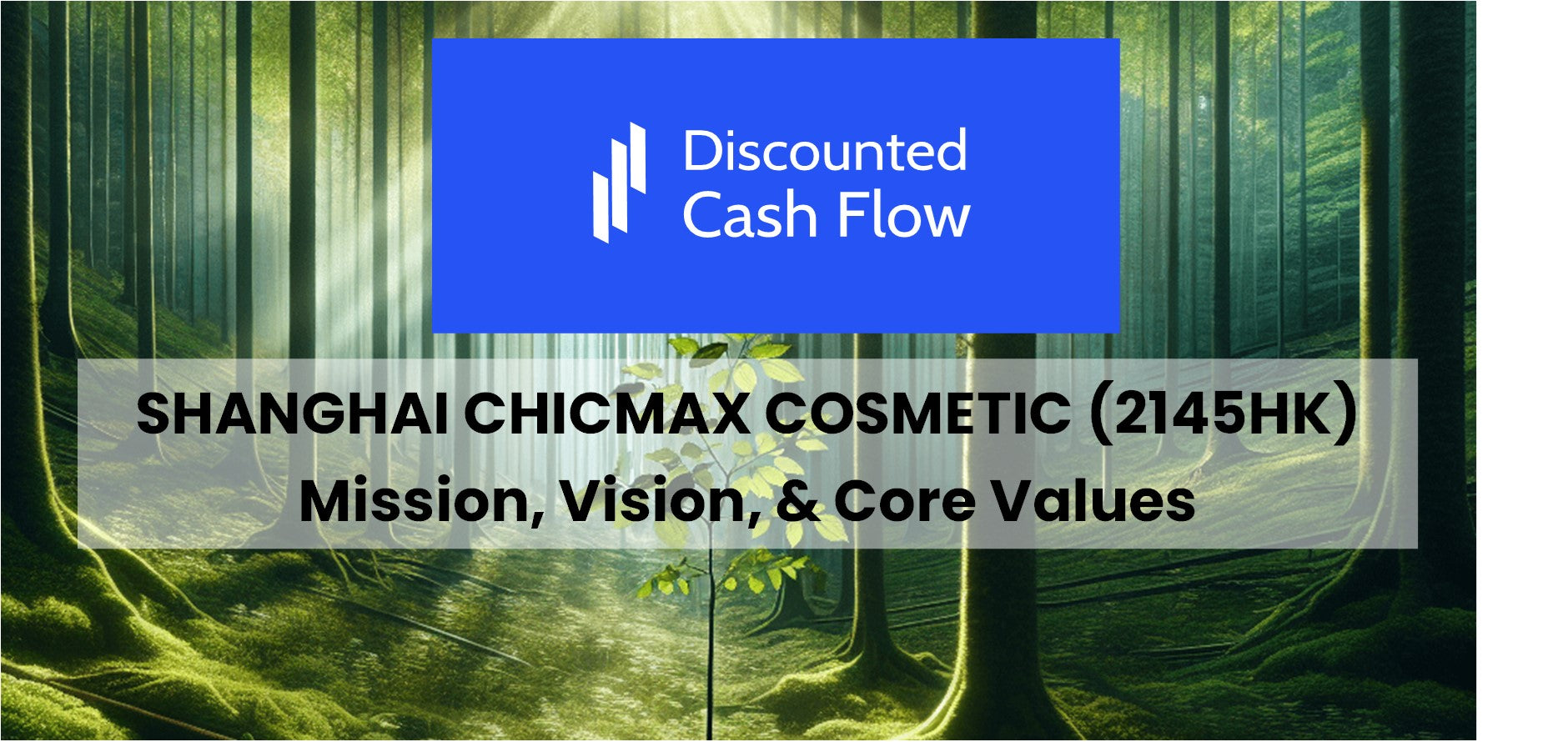 Mission Statement, Vision, & Core Values (2025) of Shanghai Chicmax ...