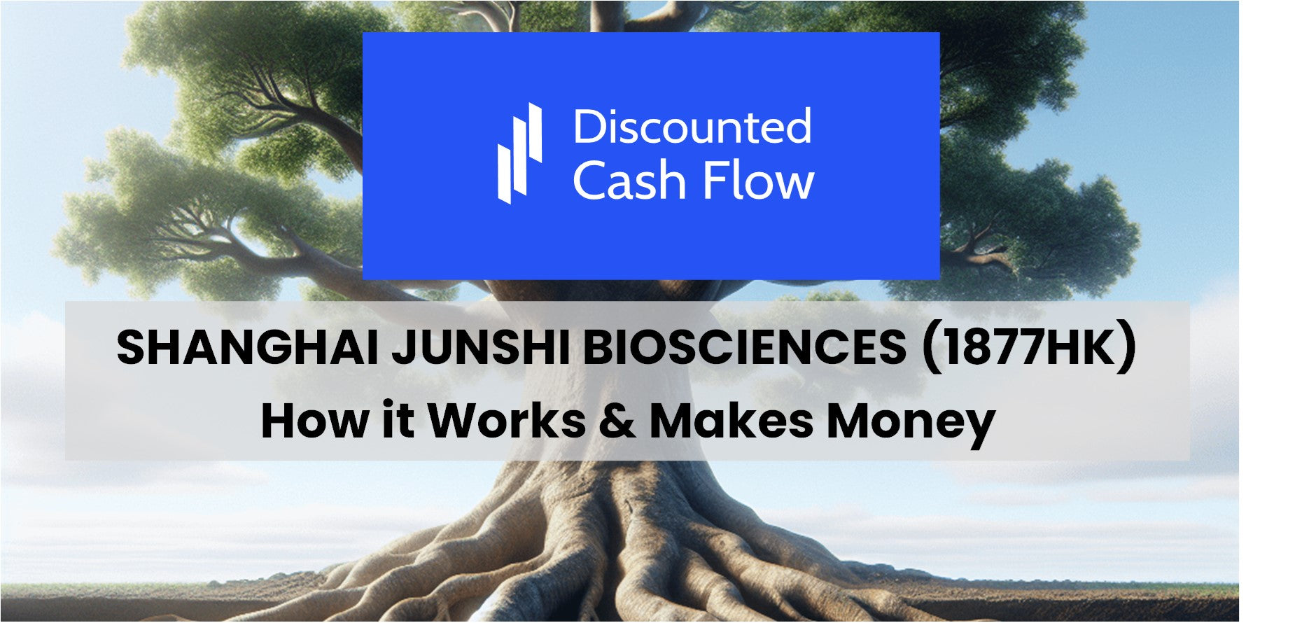Shanghai Junshi Biosciences (1877HK): history, ownership, mission, how ...