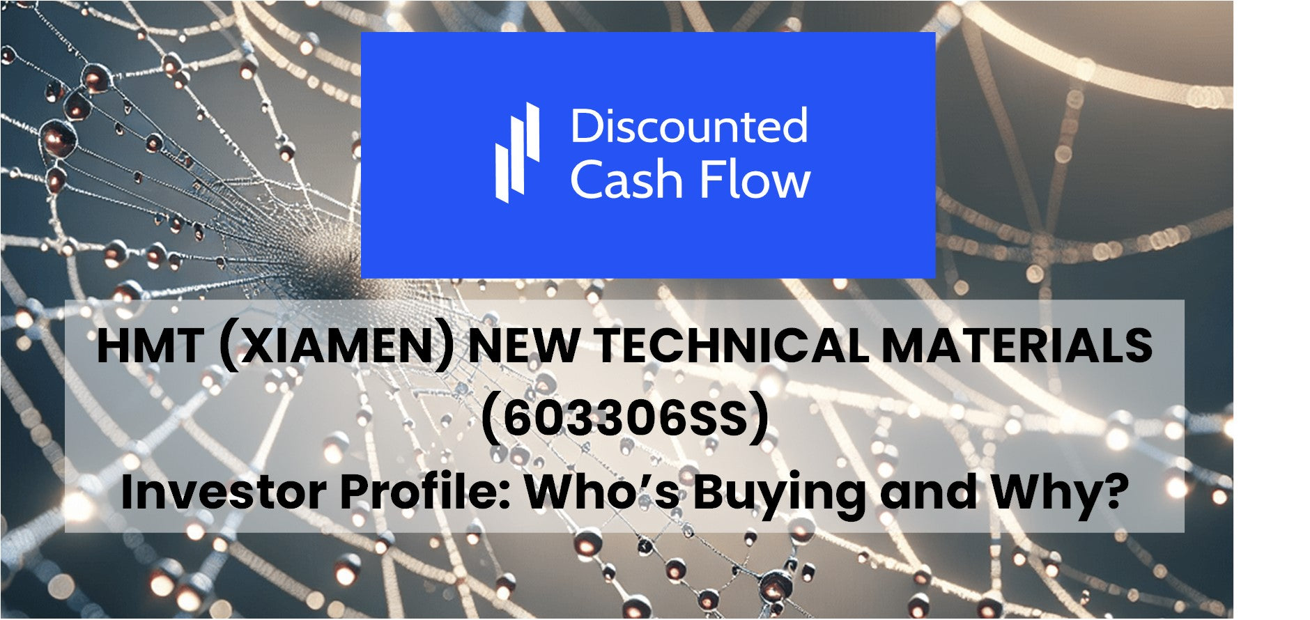 Exploring HMT (Xiamen) New Technical Materials (603306SS): Who’s Buying ...