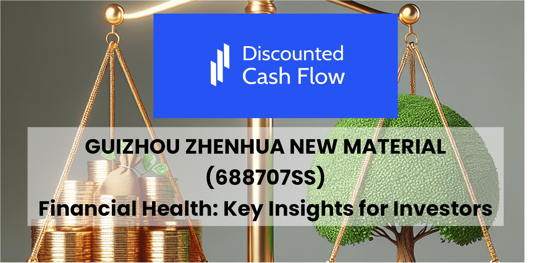 Breaking Down Guizhou Zhenhua New Material (688707SS) Financial Health ...