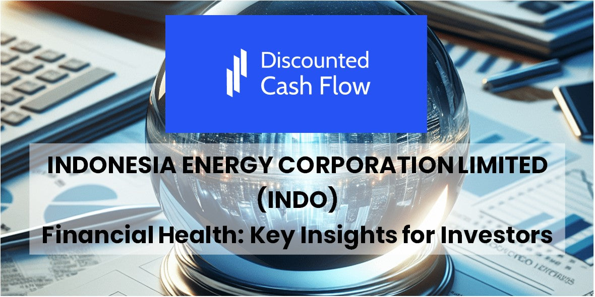 Breaking Down Indonesia Energy Corporation Limited (INDO): Key Insights ...