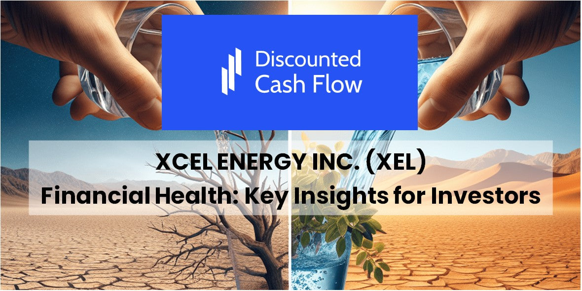 Breaking Down Xcel Energy Inc. (XEL): Key Insights for Investors ...