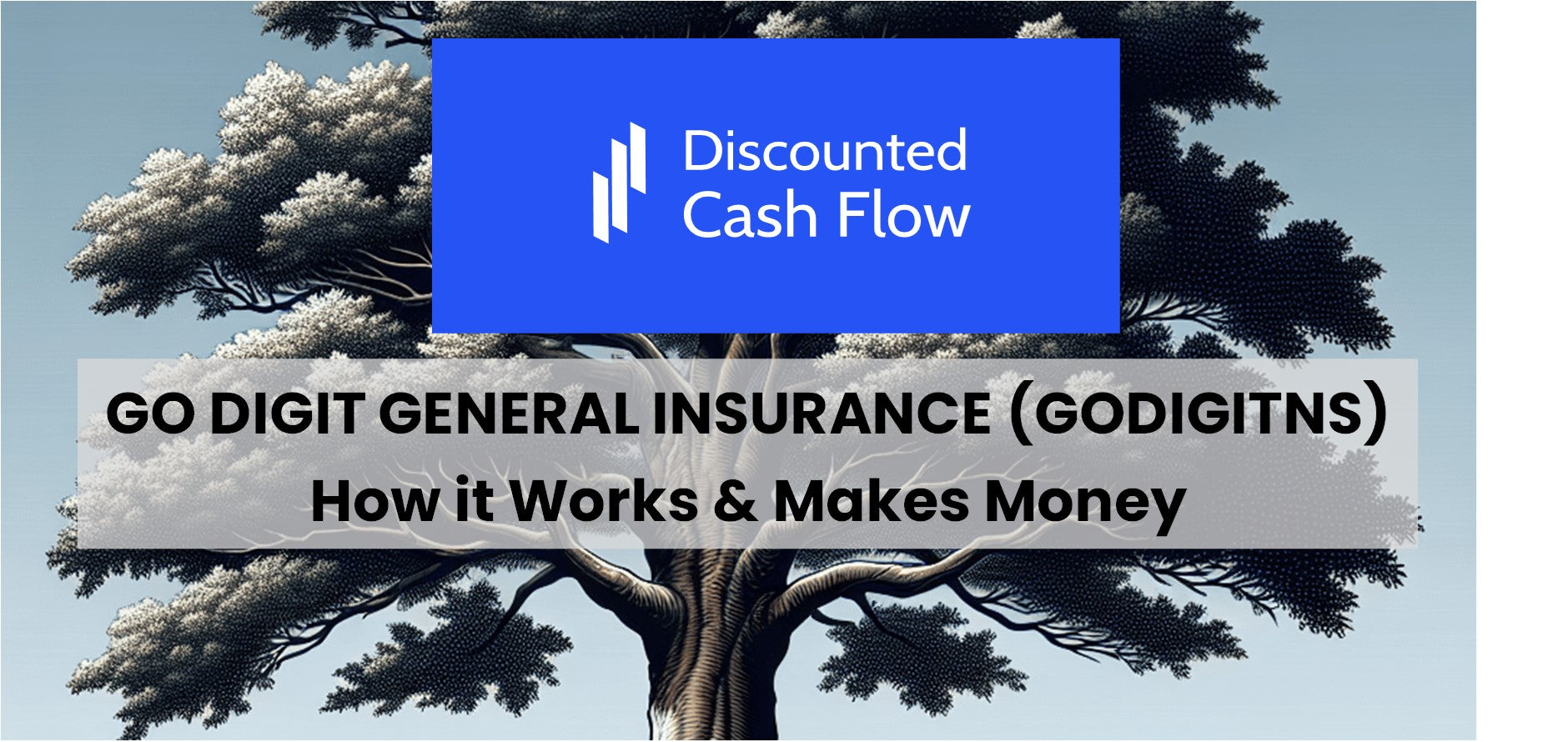 GO DIGIT GENERAL INSURANCE (GODIGITNS): history, ownership, mission ...