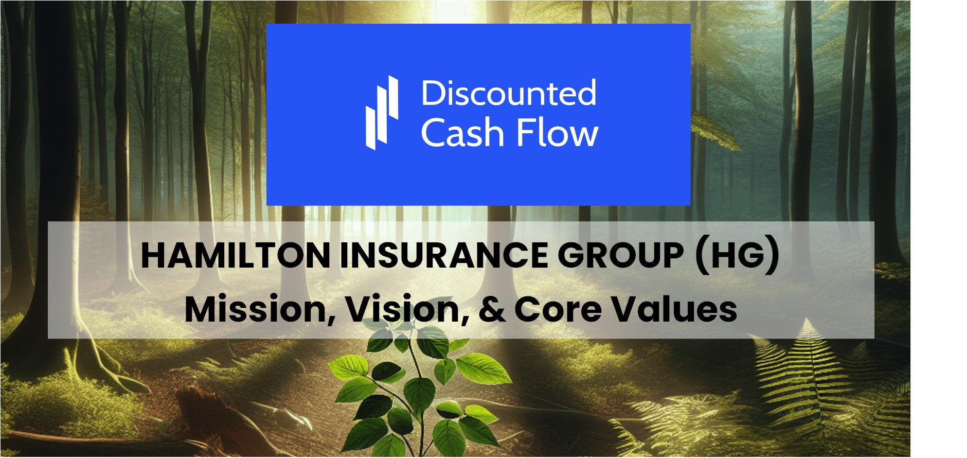 Mission Statement, Vision, & Core Values (2025) of Hamilton Insurance ...