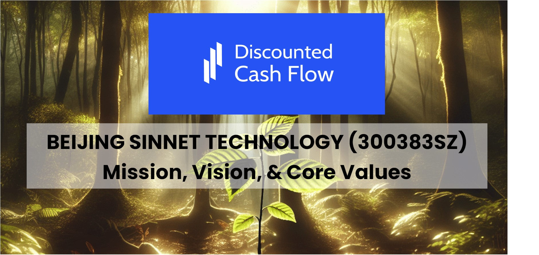 Mission Statement, Vision, & Core Values (2025) of Beijing Sinnet ...