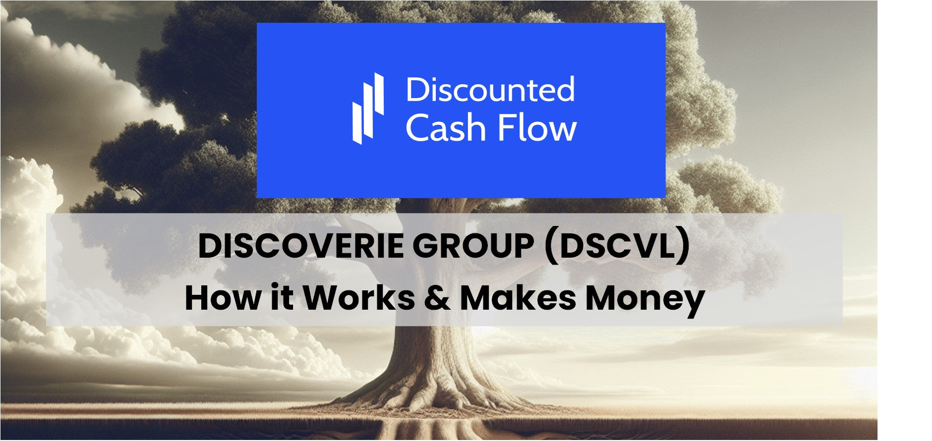 discoverIE Group (DSCVL): history, ownership, mission, how it works ...