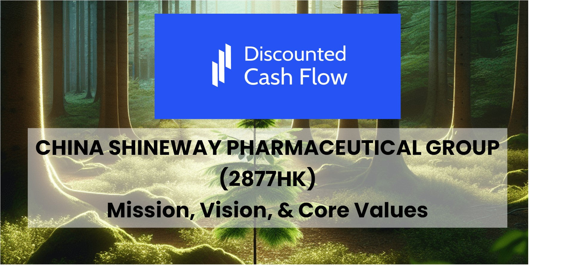 Mission Statement, Vision, & Core Values (2025) of China Shineway ...