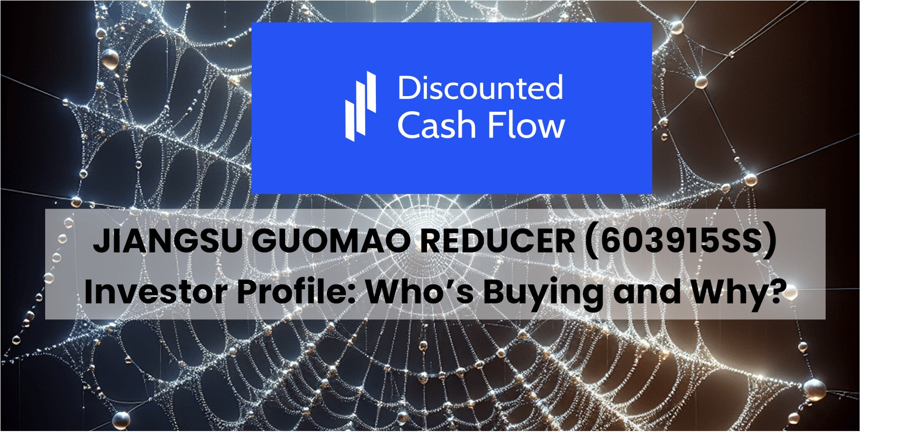 Exploring Jiangsu Guomao Reducer (603915SS): Who’s Buying and Why ...