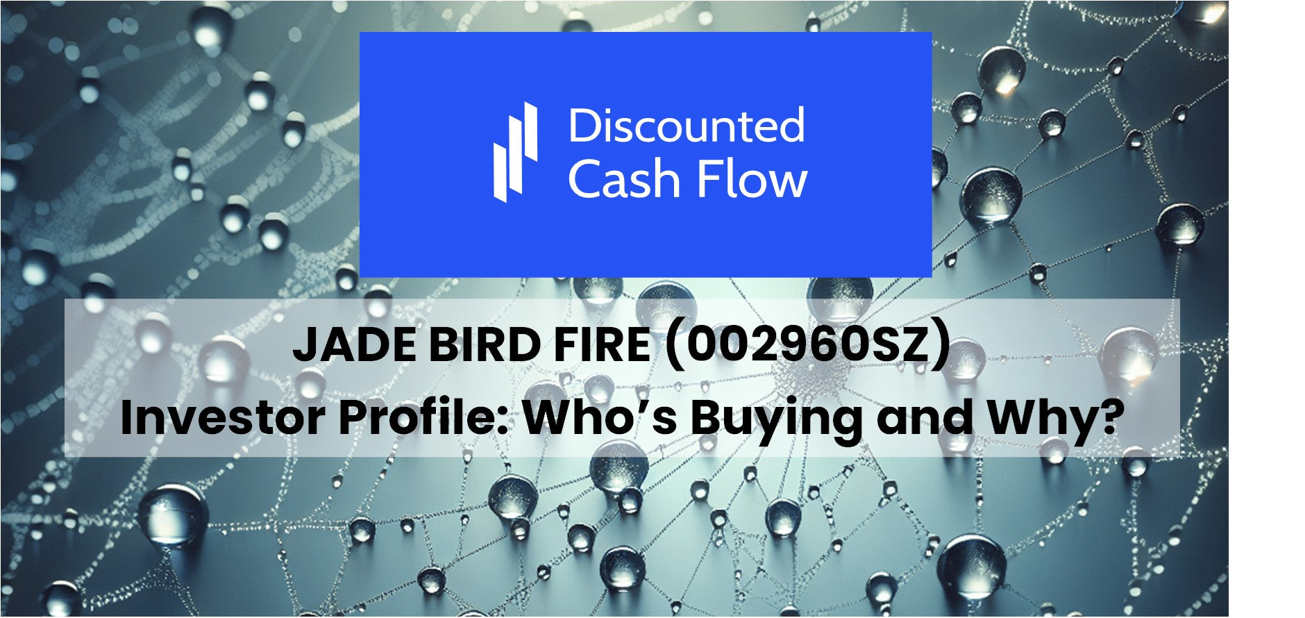 Exploring Jade Bird Fire (002960SZ): Who’s Buying and Why ...