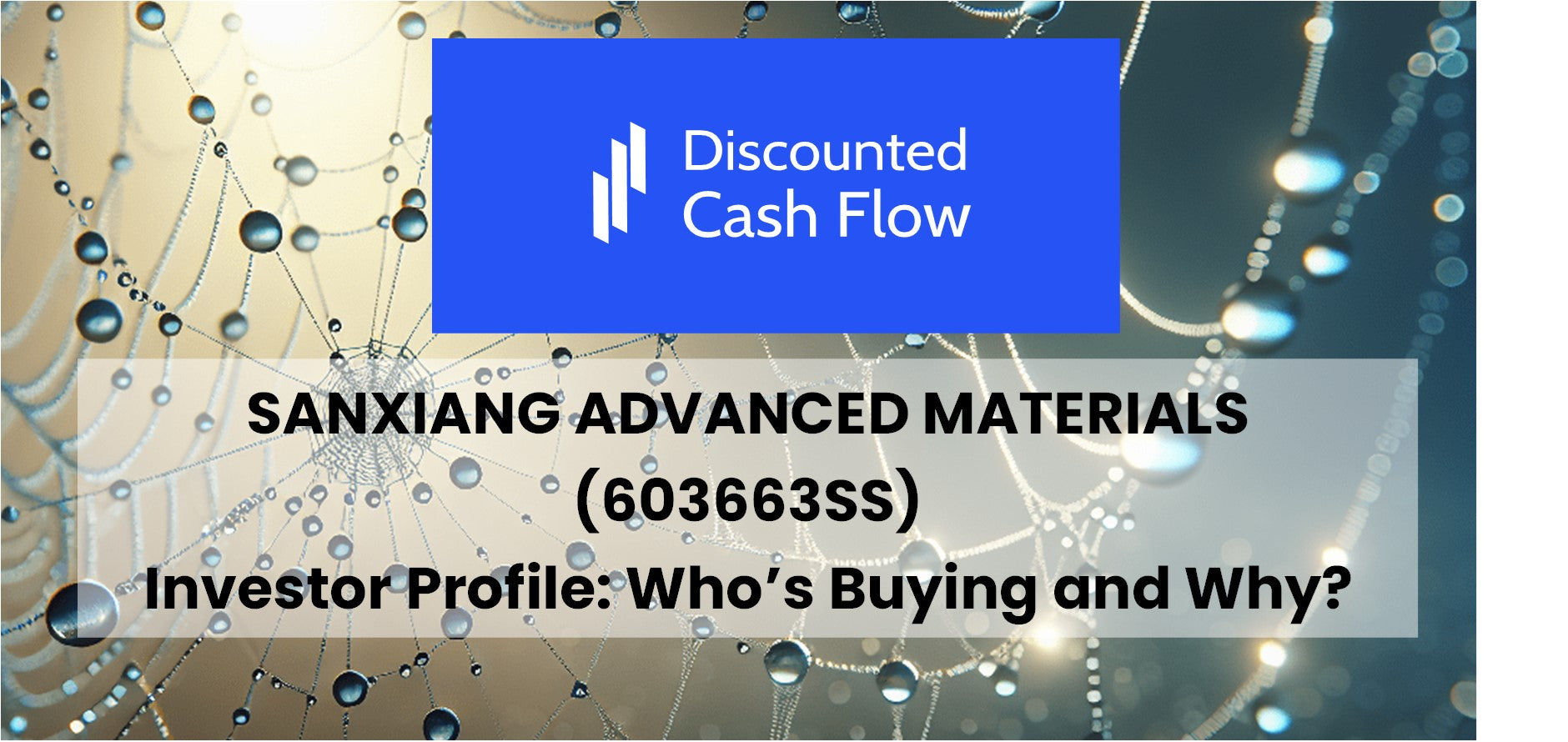 Exploring Sanxiang Advanced Materials (603663SS): Who’s Buying and Why ...