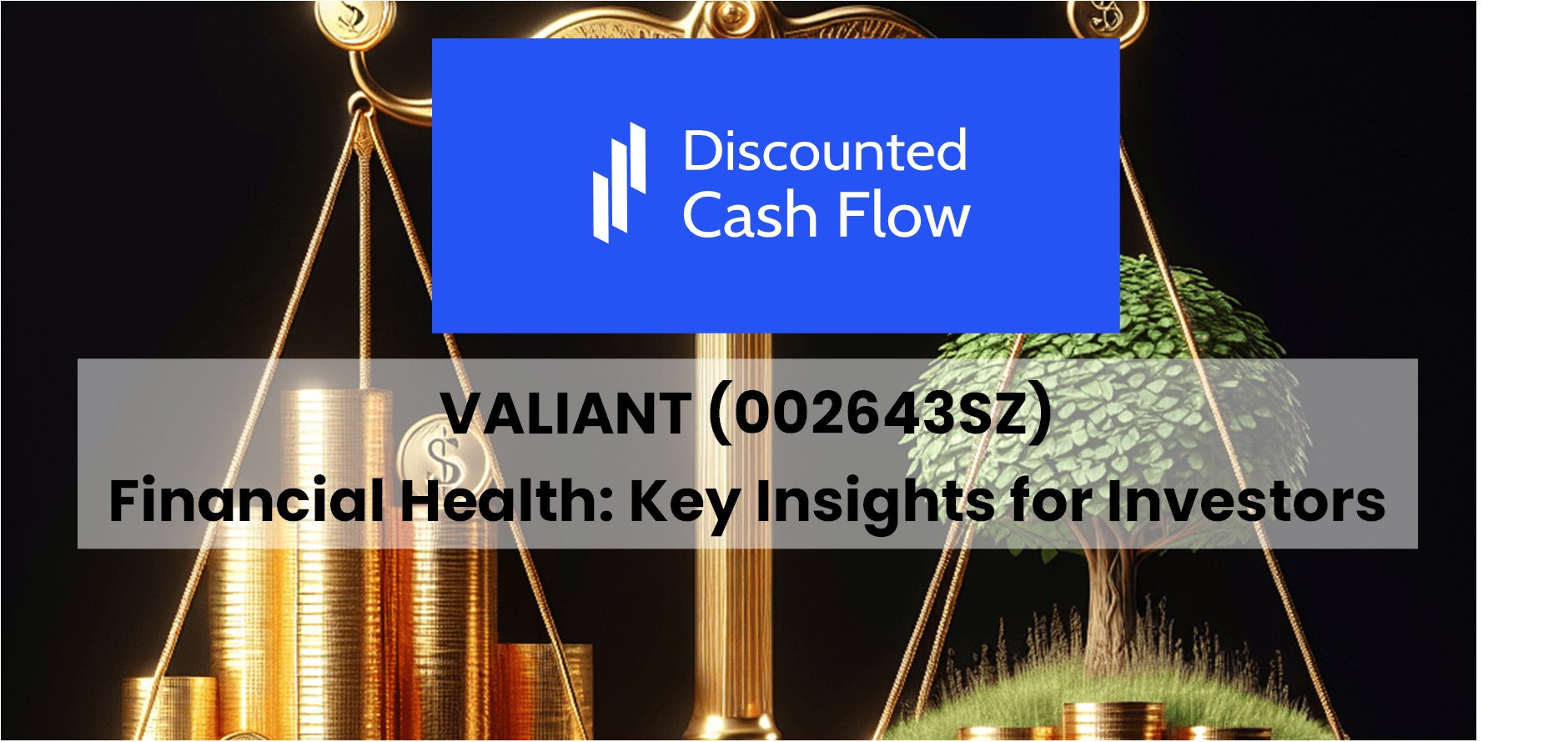 Breaking Down Valiant (002643SZ) Financial Health: Key Insights for ...