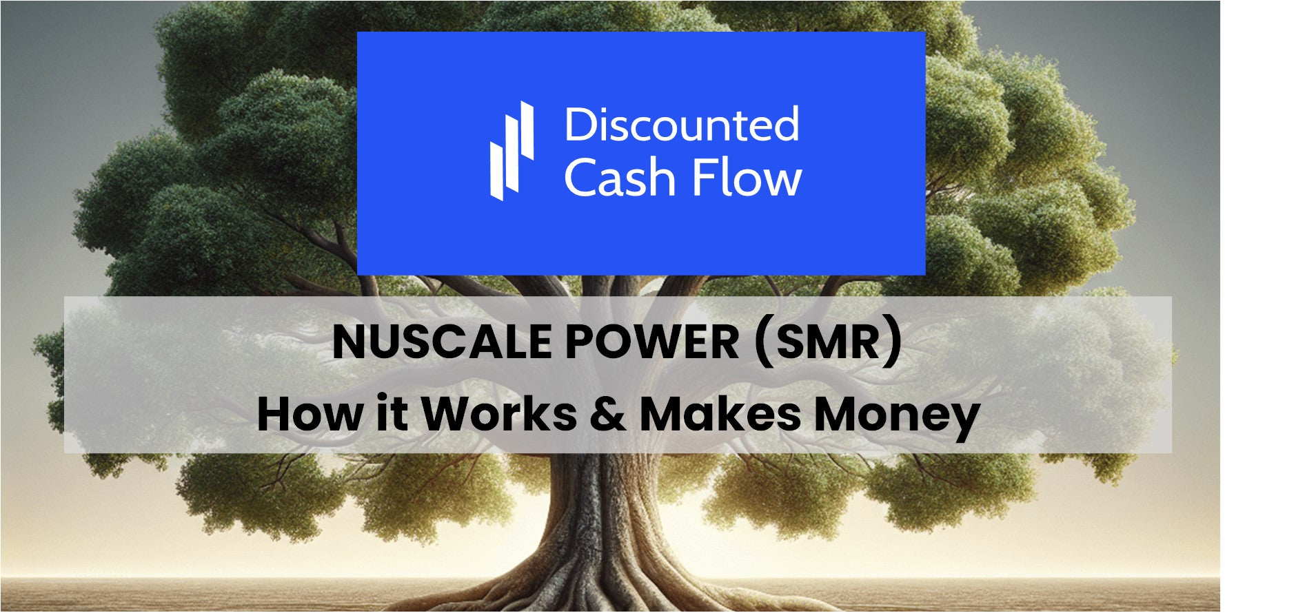 NuScale Power (SMR): history, ownership, mission, how it works & makes ...