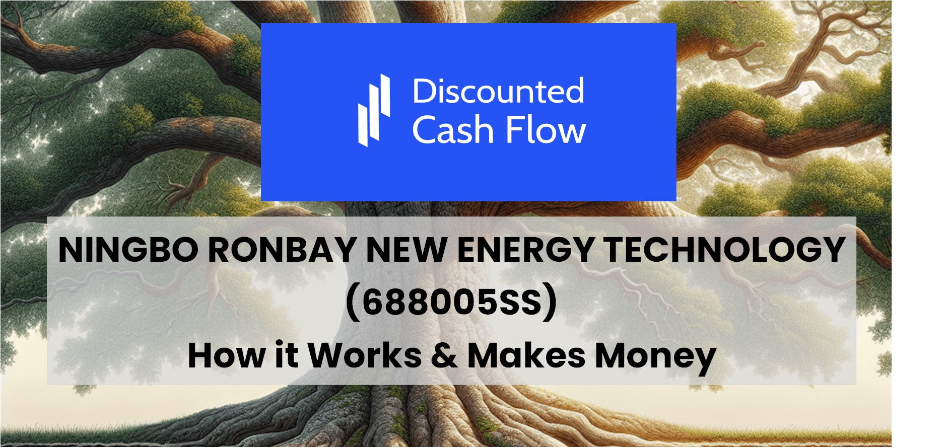 Ningbo Ronbay New Energy Technology (688005SS): history, ownership ...