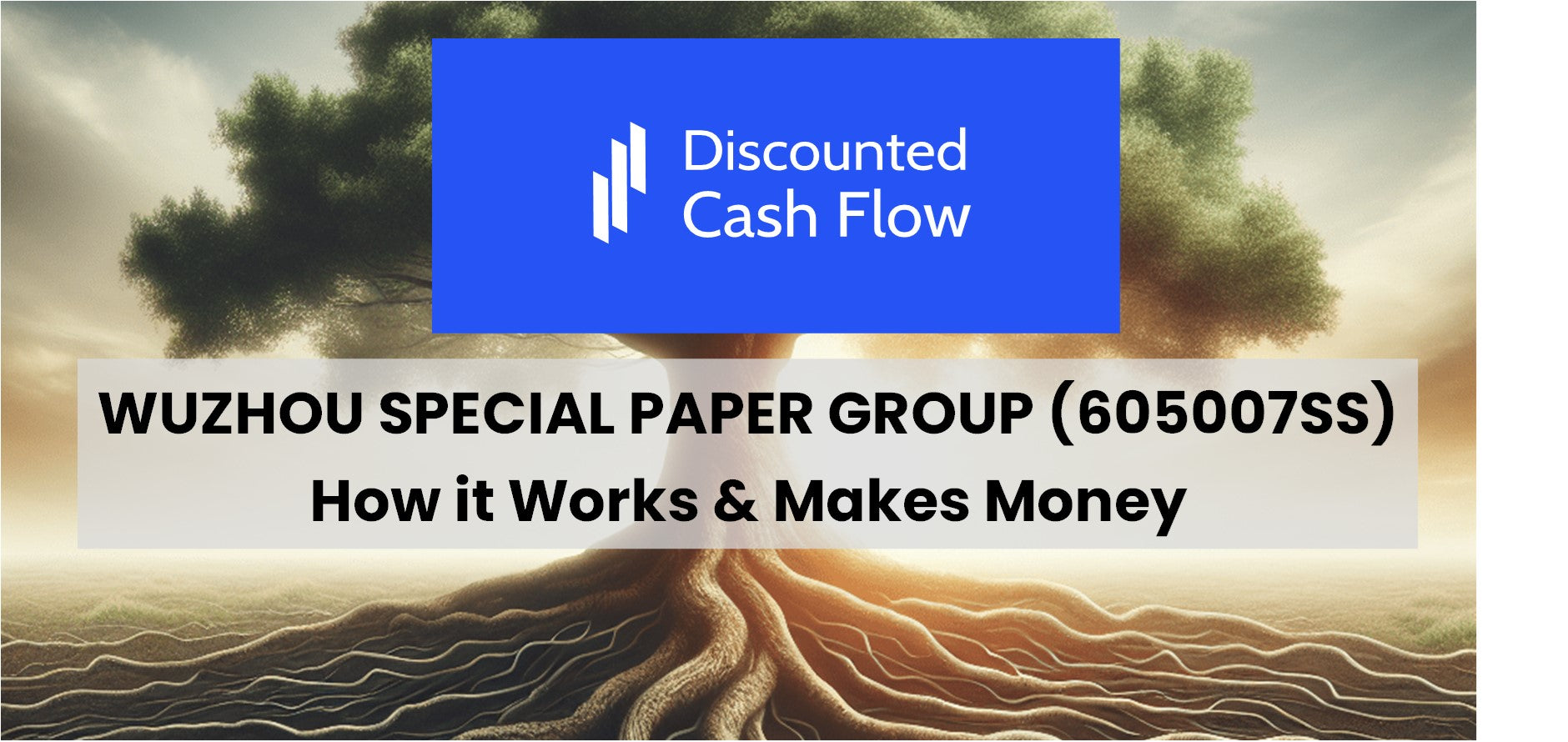 Wuzhou Special Paper Group (605007SS): history, ownership, mission, how ...