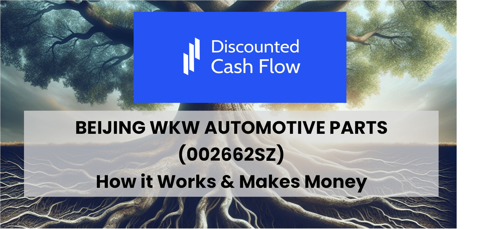 Beijing WKW Automotive Parts (002662SZ): history, ownership, mission ...
