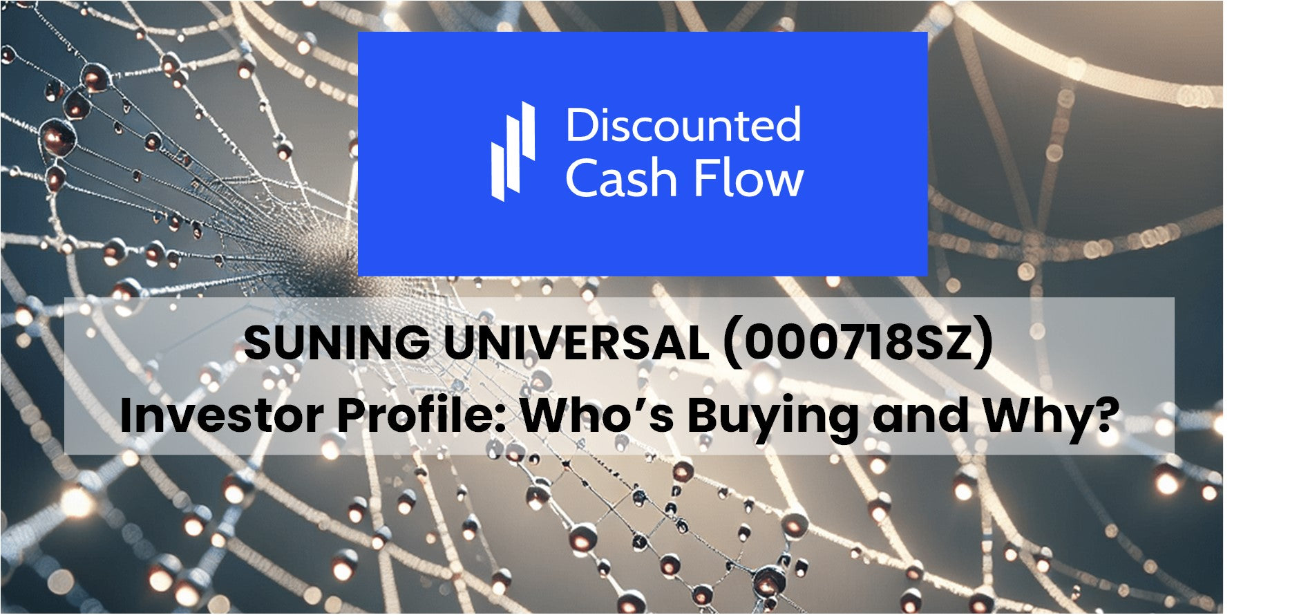 Exploring Suning Universal (000718SZ): Who’s Buying and Why ...