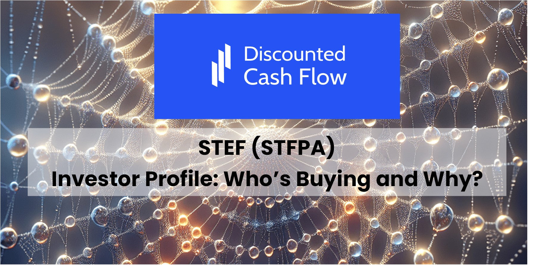 Exploring STEF (STFPA): Who’s Buying and Why? – DCFmodeling.com
