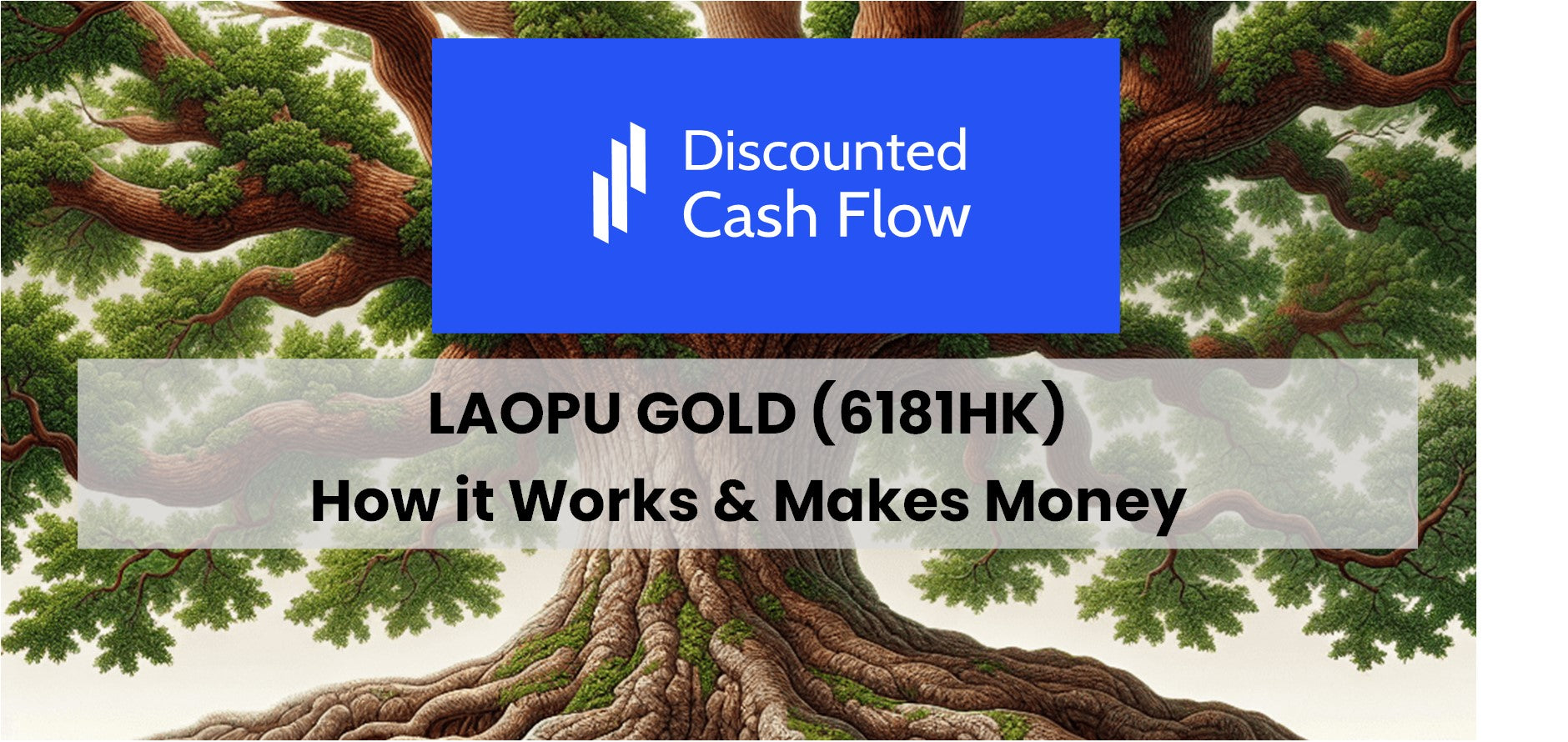 Laopu Gold (6181HK): history, ownership, mission, how it works & makes ...