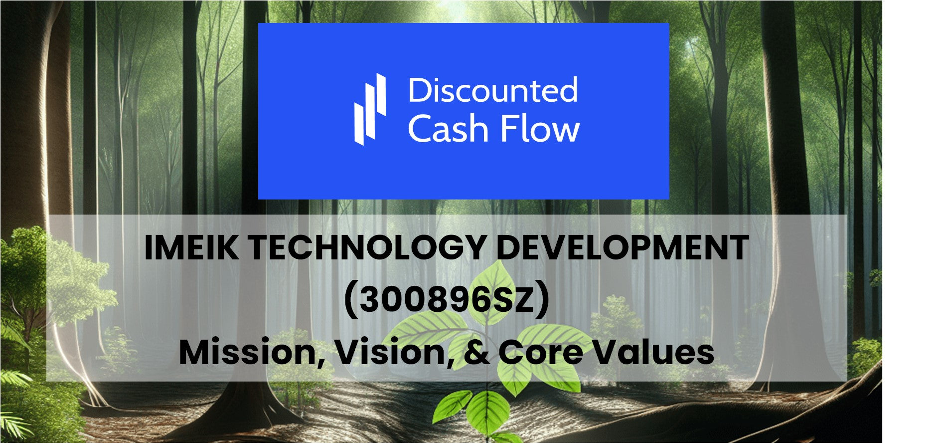 Mission Statement, Vision, & Core Values (2025) of Imeik Technology ...