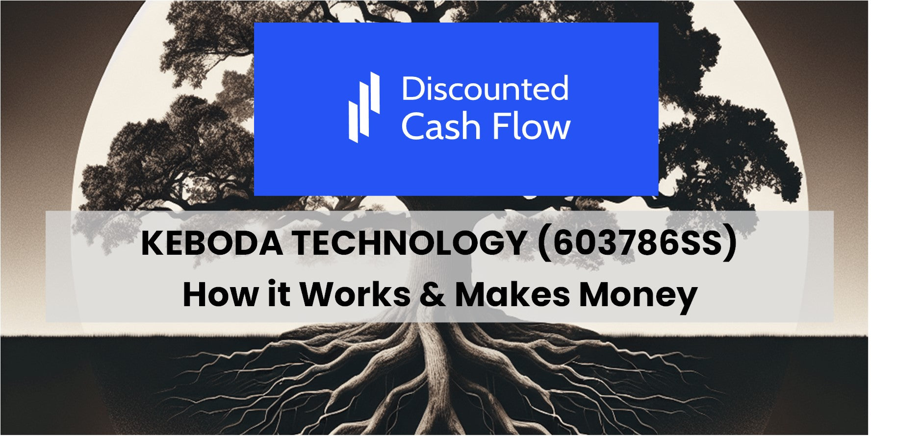 KEBODA TECHNOLOGY (603786SS): history, ownership, mission, how it works ...